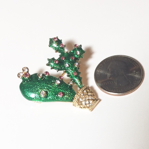 Jewelry | Cactus Brooch Pin | Poshmark